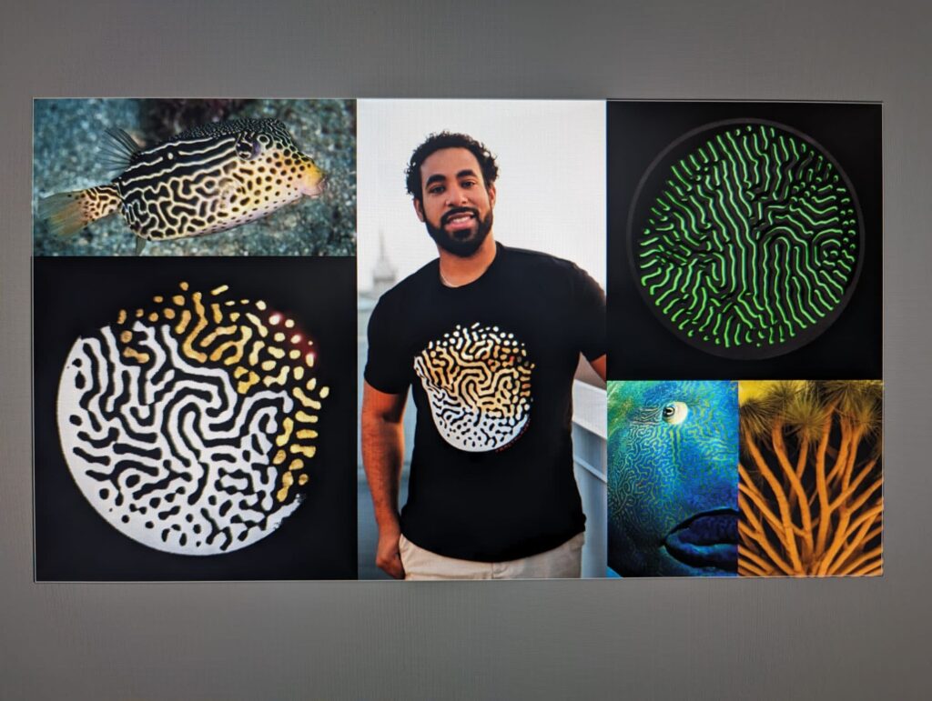 Exploring the Captivating World of Fractal Energy in Art – Diamond ...